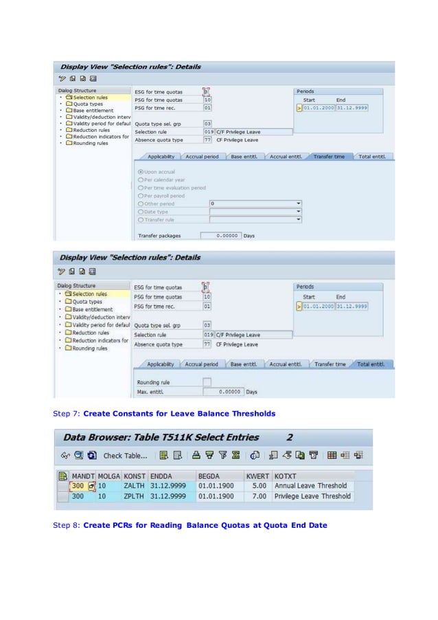 How to create Leave balance carry forward in SAP HCM | DOCX ...