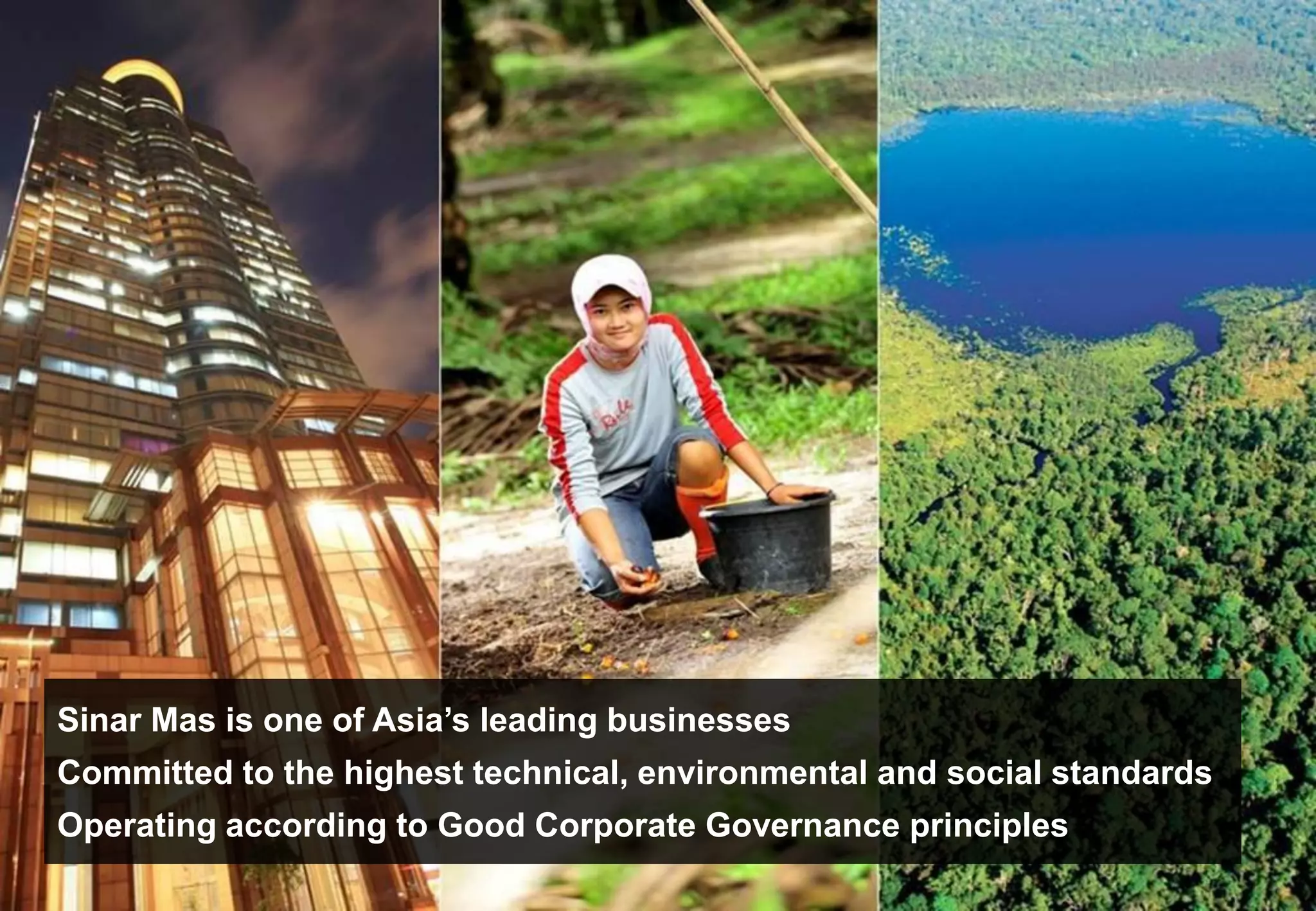 Sinar Mas Group Profile | PDF