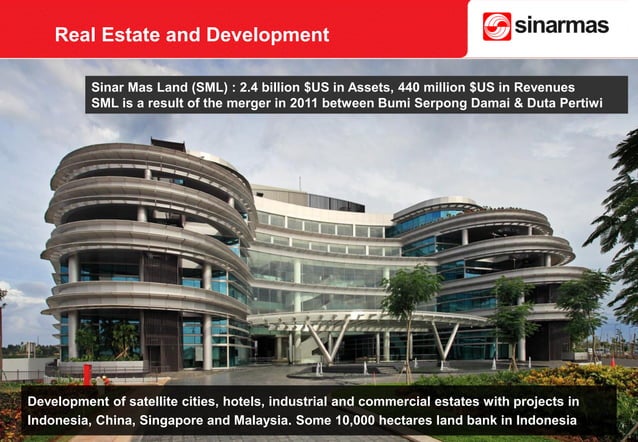 Sinar Mas Group Profile | PDF | Commodities | Economy