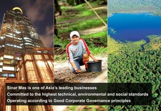 Sinar Mas Group Profile | PDF