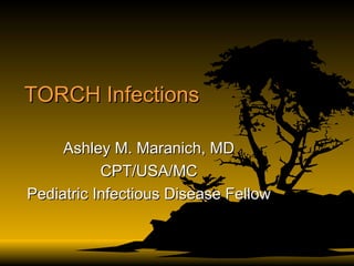 -Torch-Infection-Easier model for starters.ppt