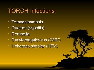 -Torch-Infection-Easier model for starters.ppt