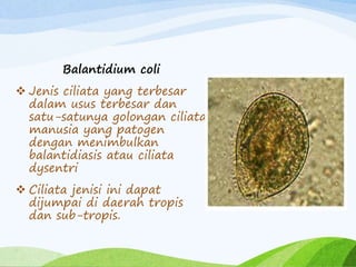 362958423-Ppt-Balantidiasis-Kelompok-8.pptx