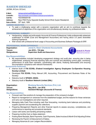 Raheem Shehzad CV | PDF