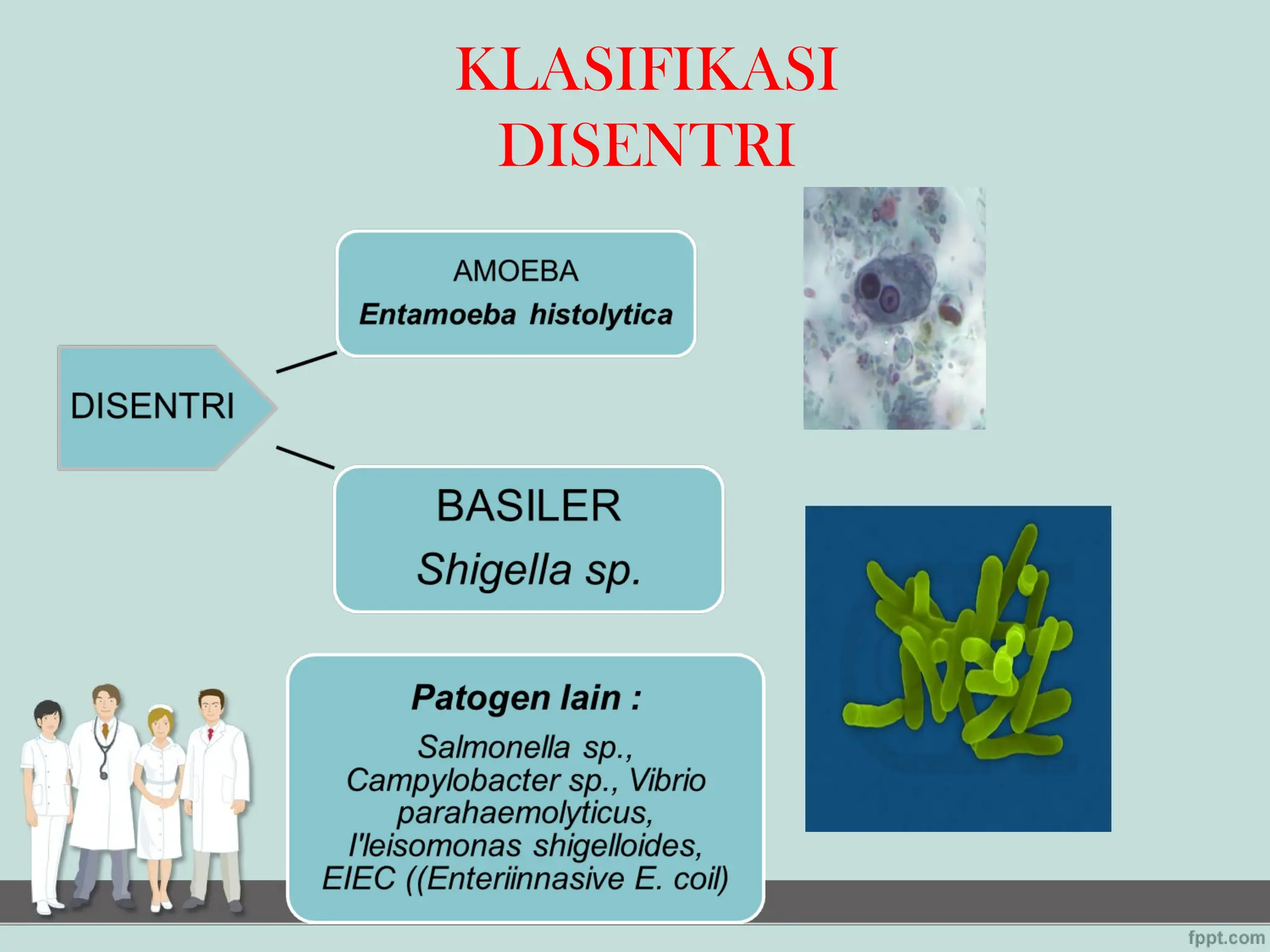 All about disentri, pengobatan, dan pencegahan | PPT