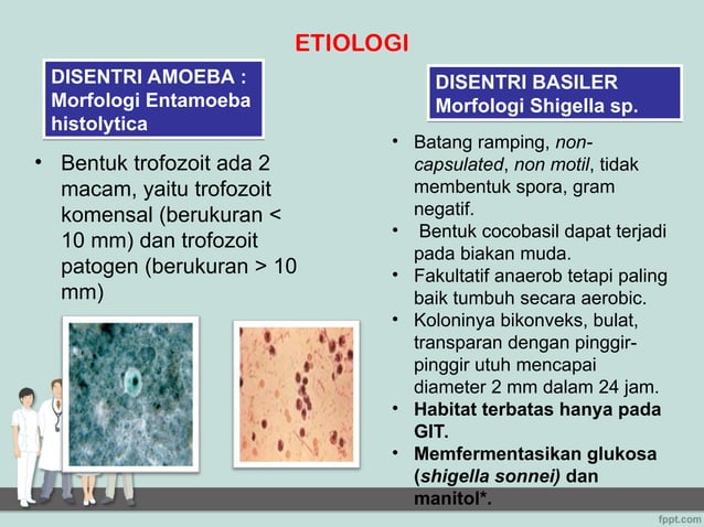 All about disentri, pengobatan, dan pencegahan | PPT
