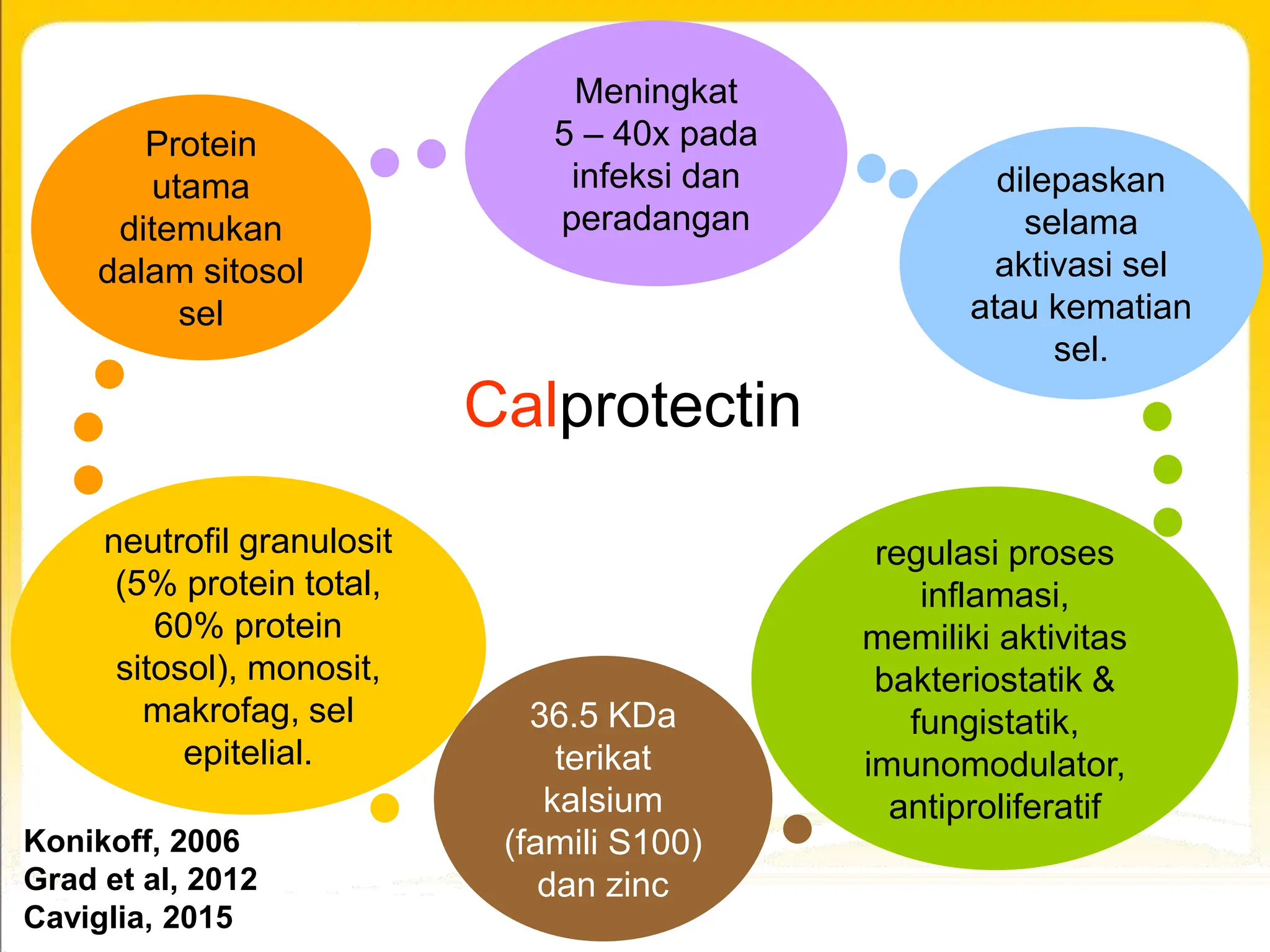 364259934-Slide-Fecal-Calprotectin-PTK.ppt