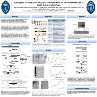 Molecular Biology Lab Poster | PDF