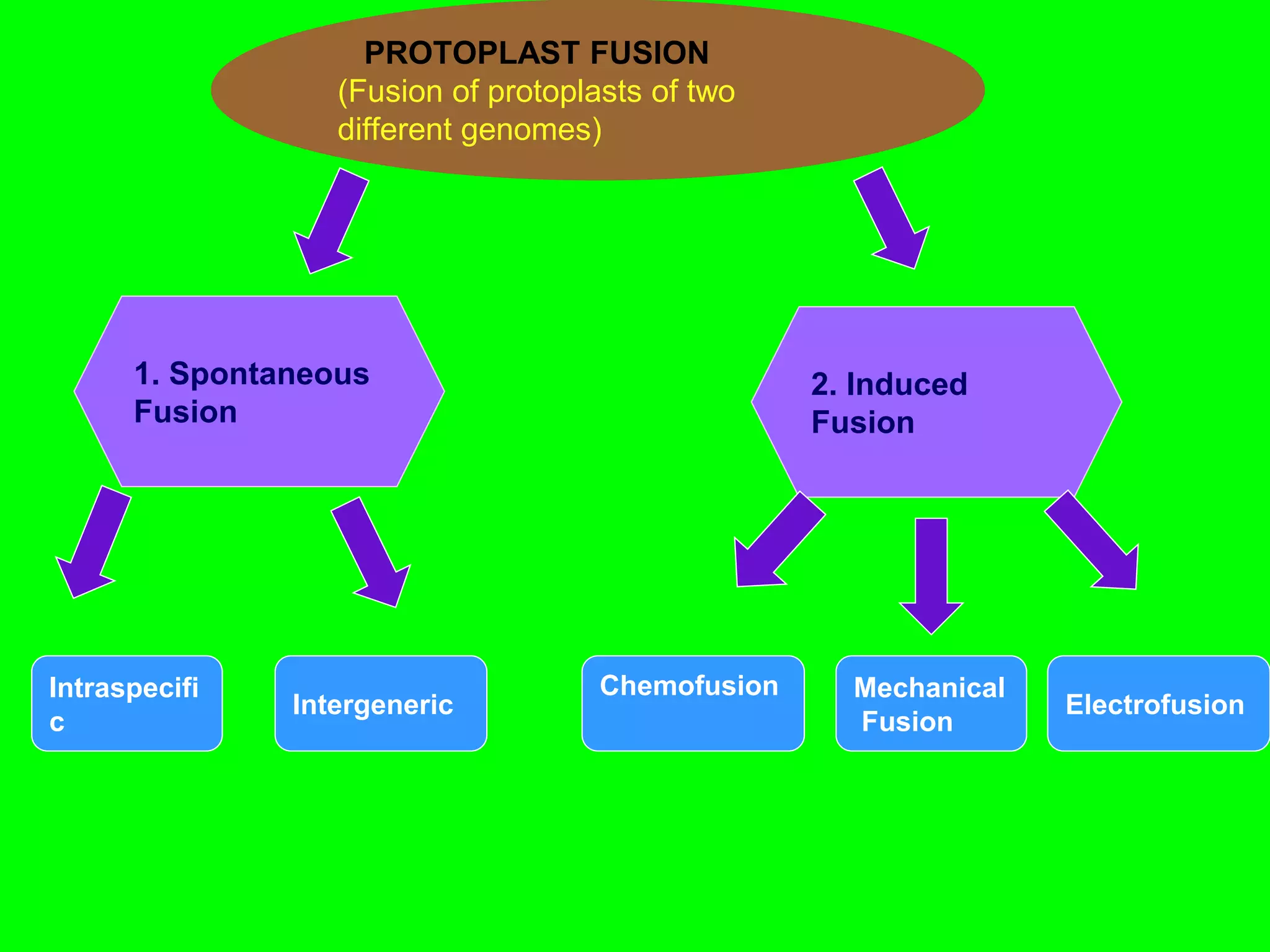 36481.ppt | Free Download