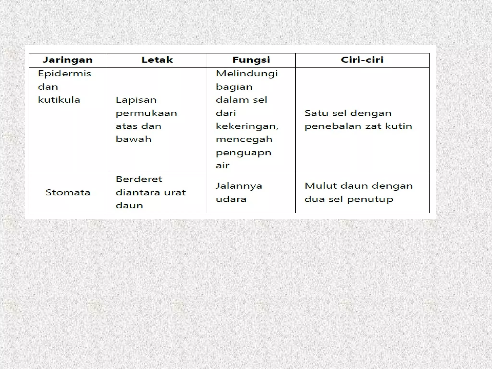 365005414 3-struktur-dan-fungsi-daun-ppt | PPT