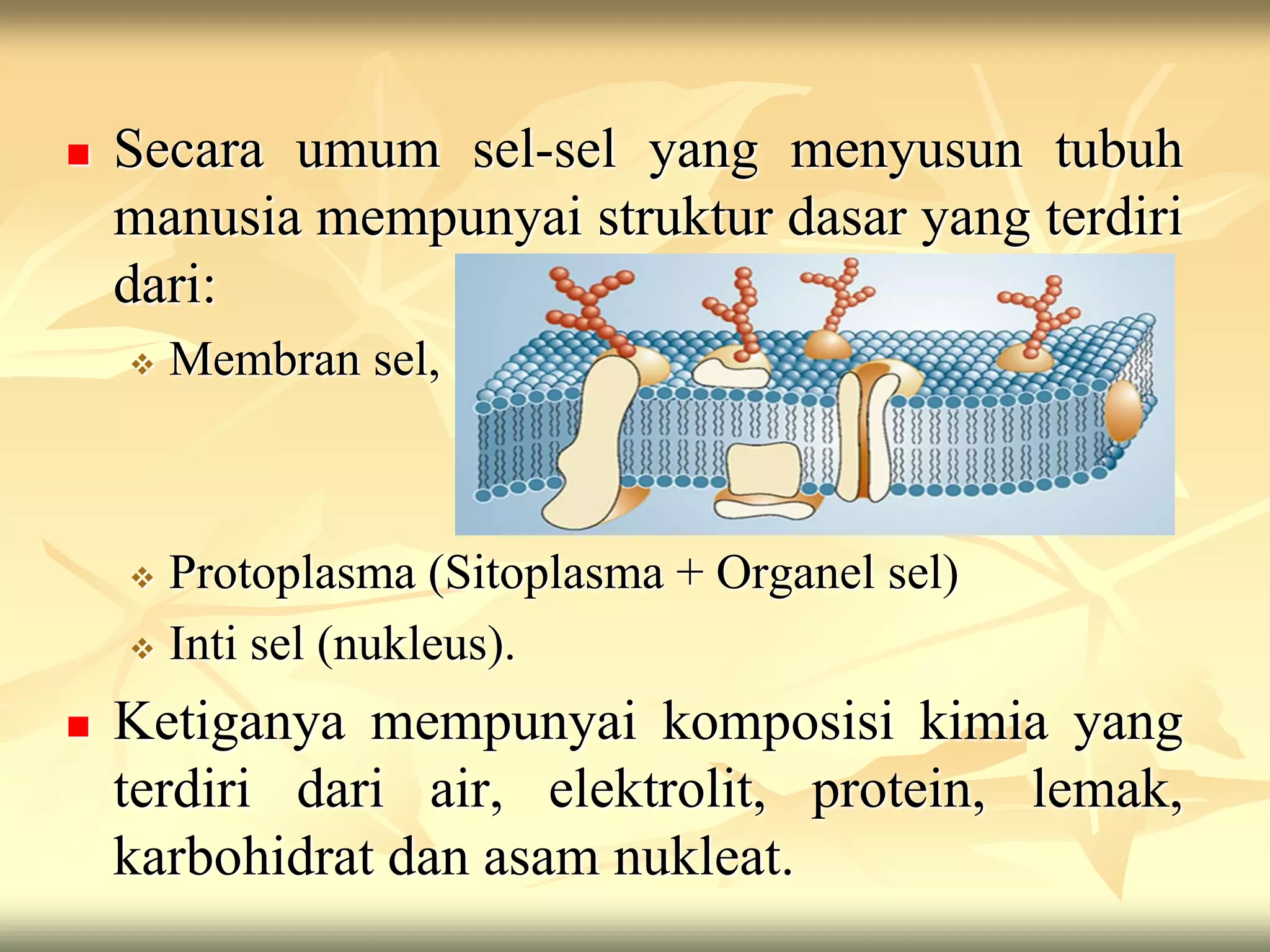 365124810 1-pengantar-biokimia | PDF