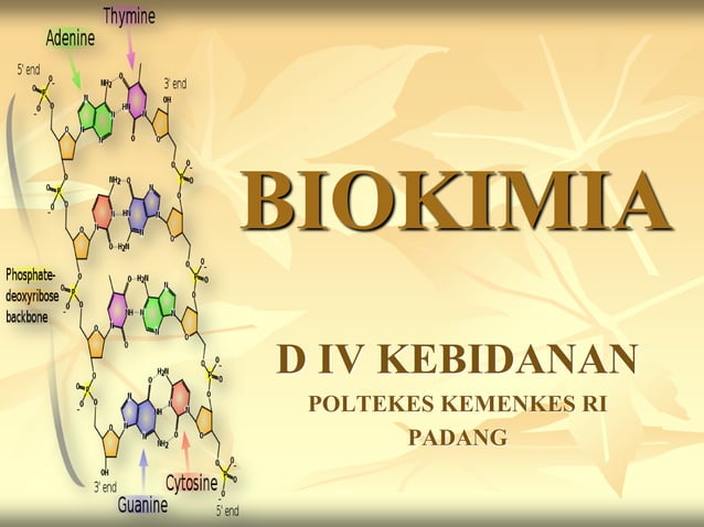 365124810 1-pengantar-biokimia | PPT