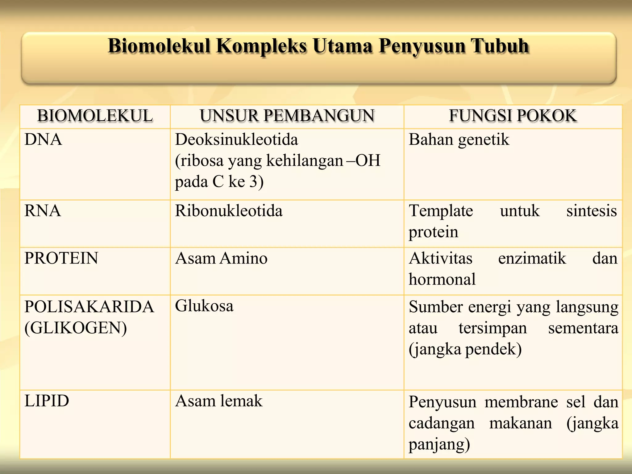 365124810 1-pengantar-biokimia | PPTX