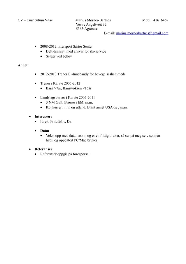 CV - Marius Mørner-Bartnes | PDF