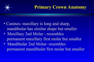 366538100-dental-anatomy-1- for dental ppt.ppt