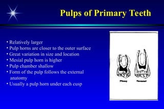 366538100-dental-anatomy-1- for dental ppt.ppt
