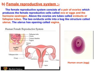 366731420-269888737-How-Do-Organisms-Reproduce-pdf(1).pdf
