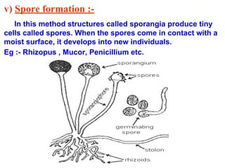 366731420-269888737-How-Do-Organisms-Reproduce-pdf(1).pdf