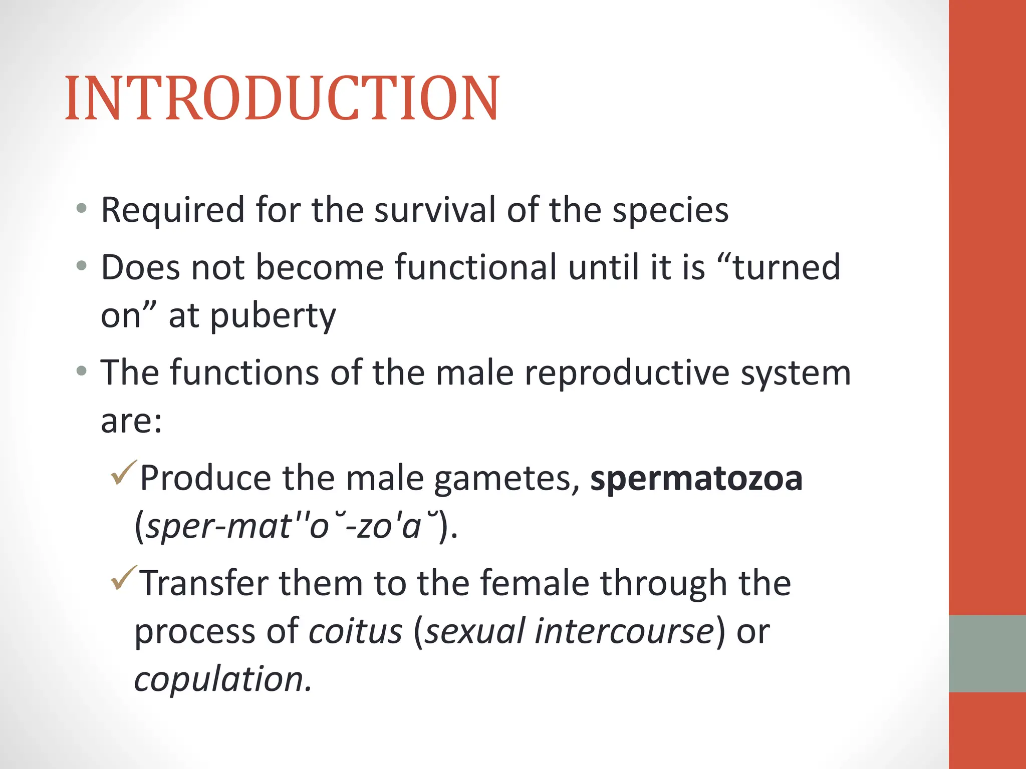 366789462-Anatomy-of-Male-Reproductive-Organs.pptx