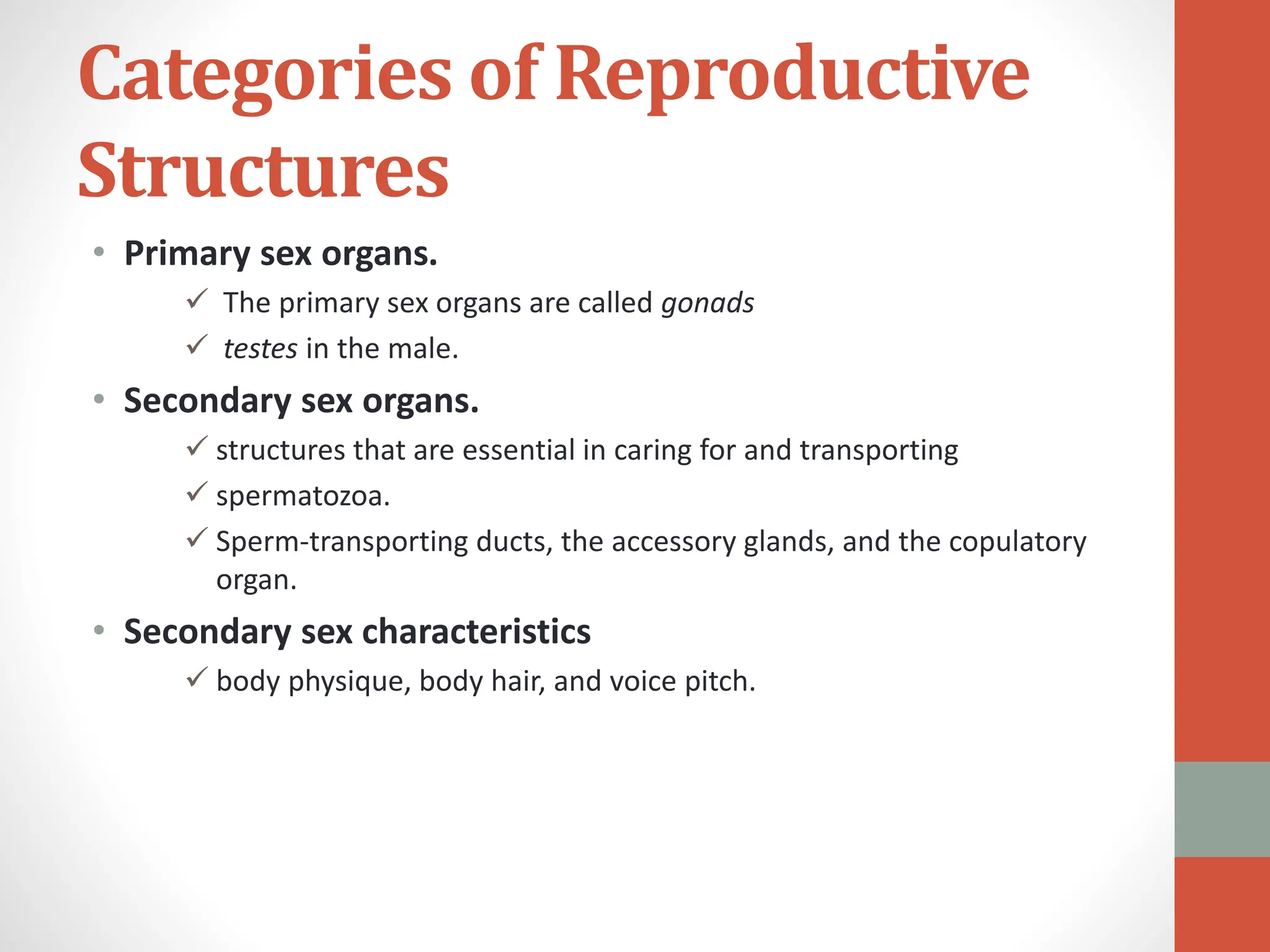 366789462-Anatomy-of-Male-Reproductive-Organs.pptx