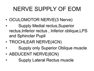 367014512-3-4-6-CRANIAL-NERVES-ppt.ppt