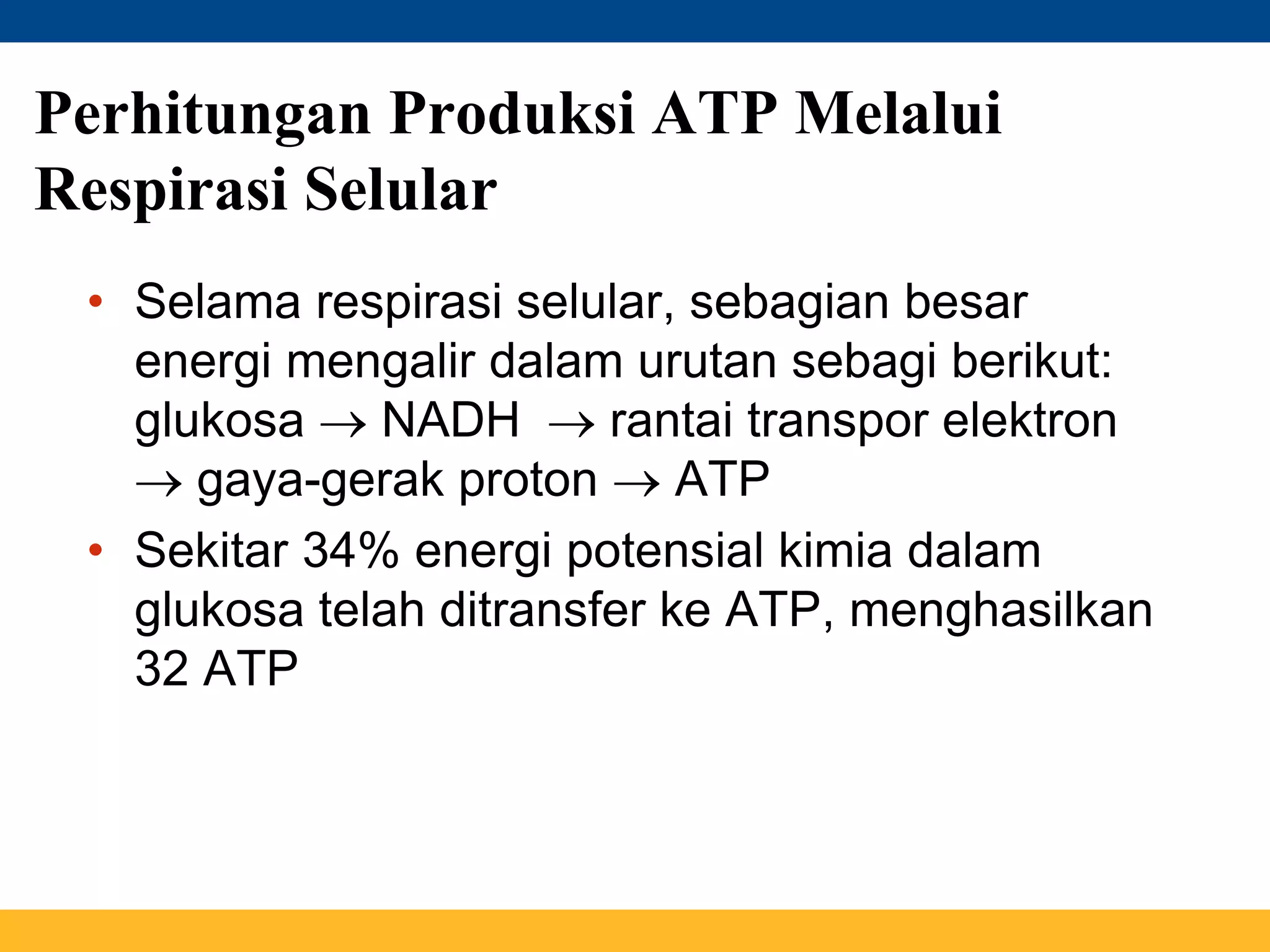 Respirasi Seluler | PPTX