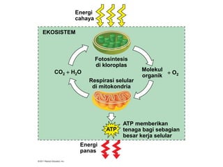 Respirasi Seluler | PPTX