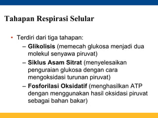 Respirasi Seluler | PPTX