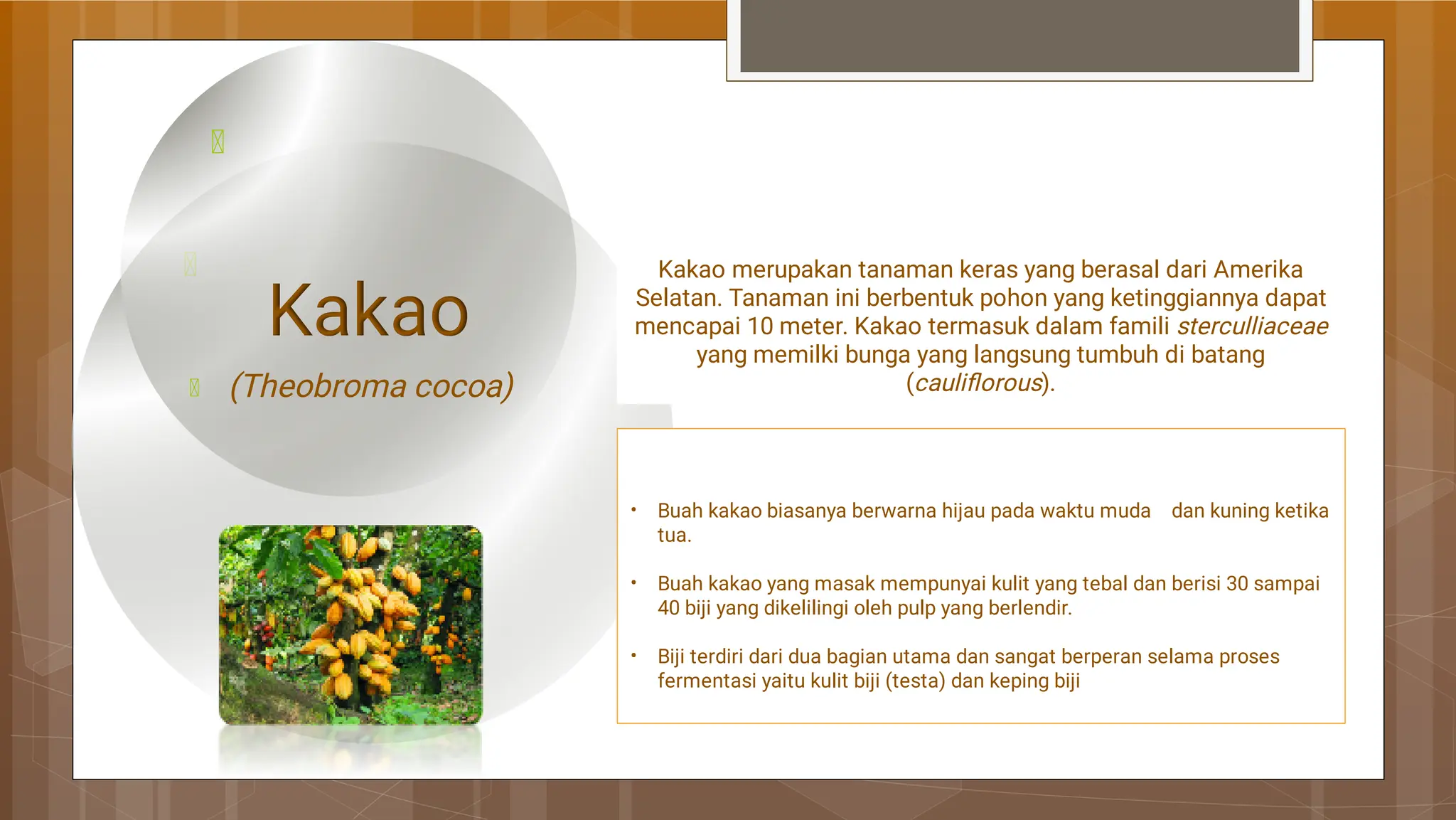 367640638-21791-PPT-Pengolahan-Kakao (1).pdf