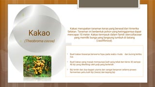 367640638-21791-PPT-Pengolahan-Kakao (1).pdf