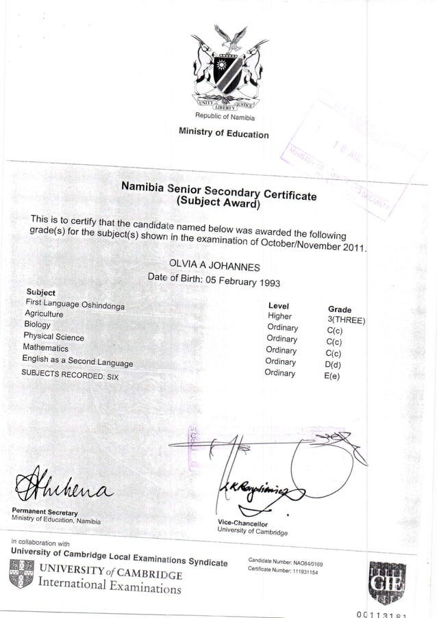 Documents Olivia.PDF