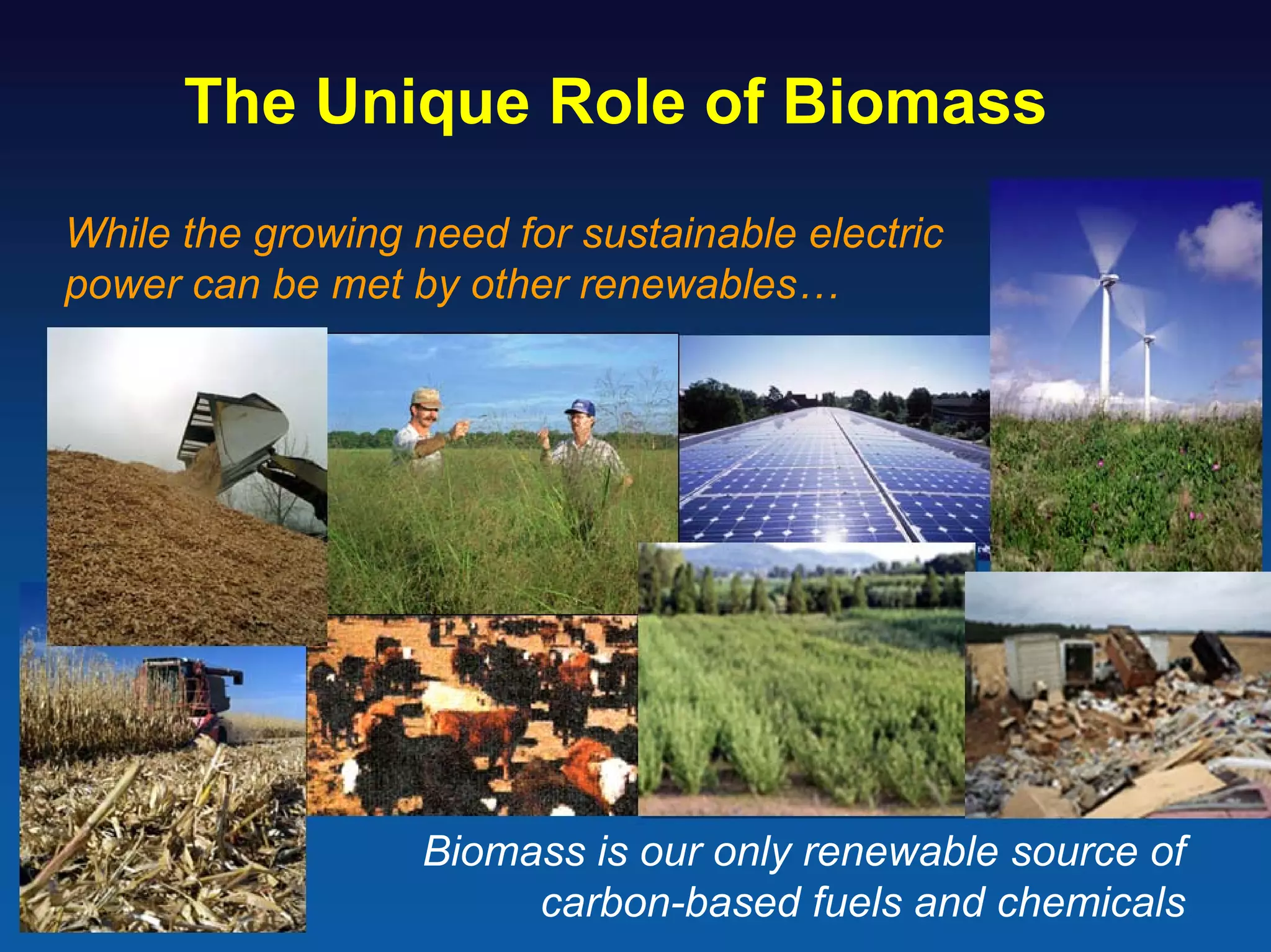 Biotechnological Routes to Biomass Conversion | PDF