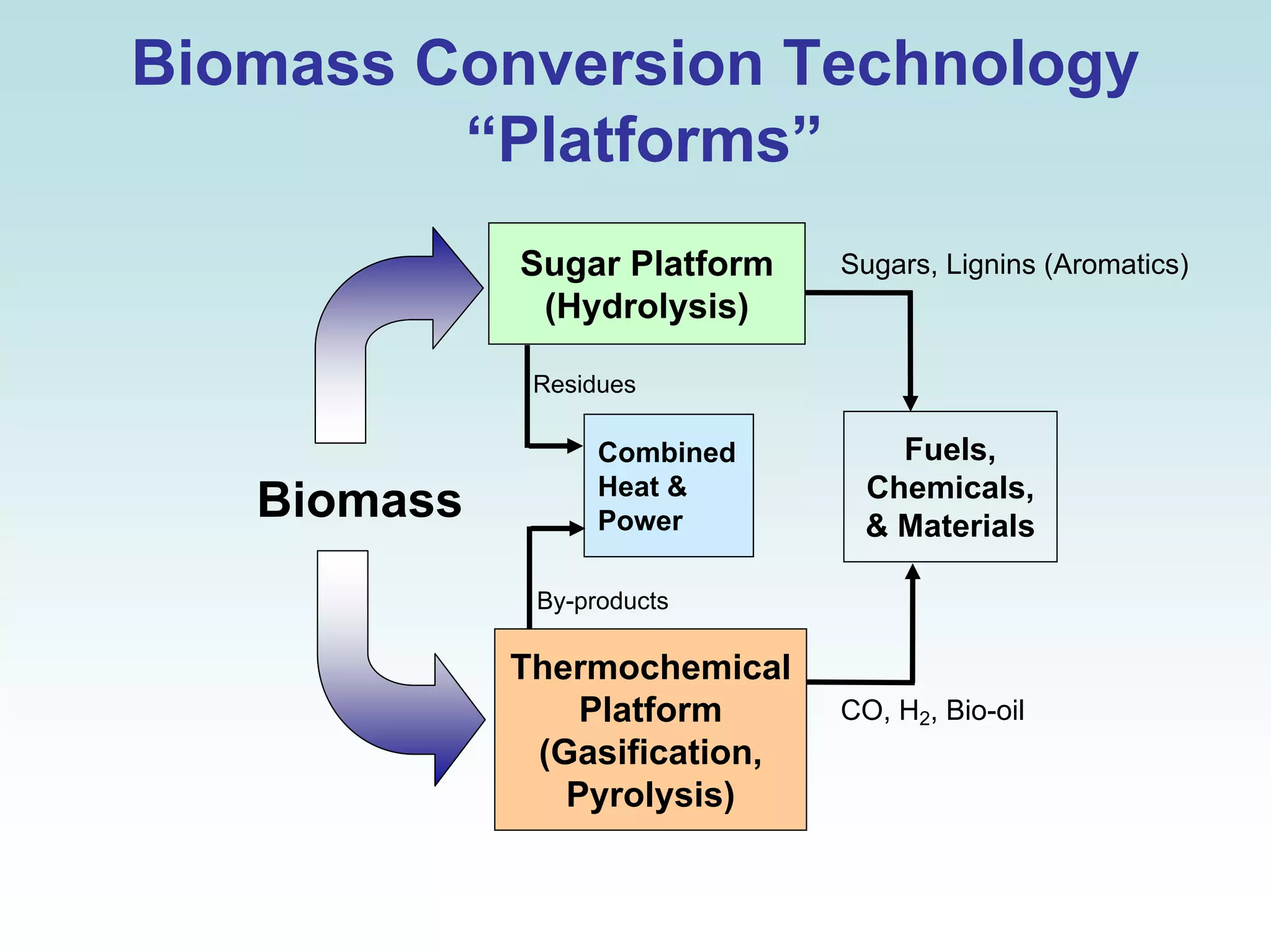 Biotechnological Routes to Biomass Conversion | PPT