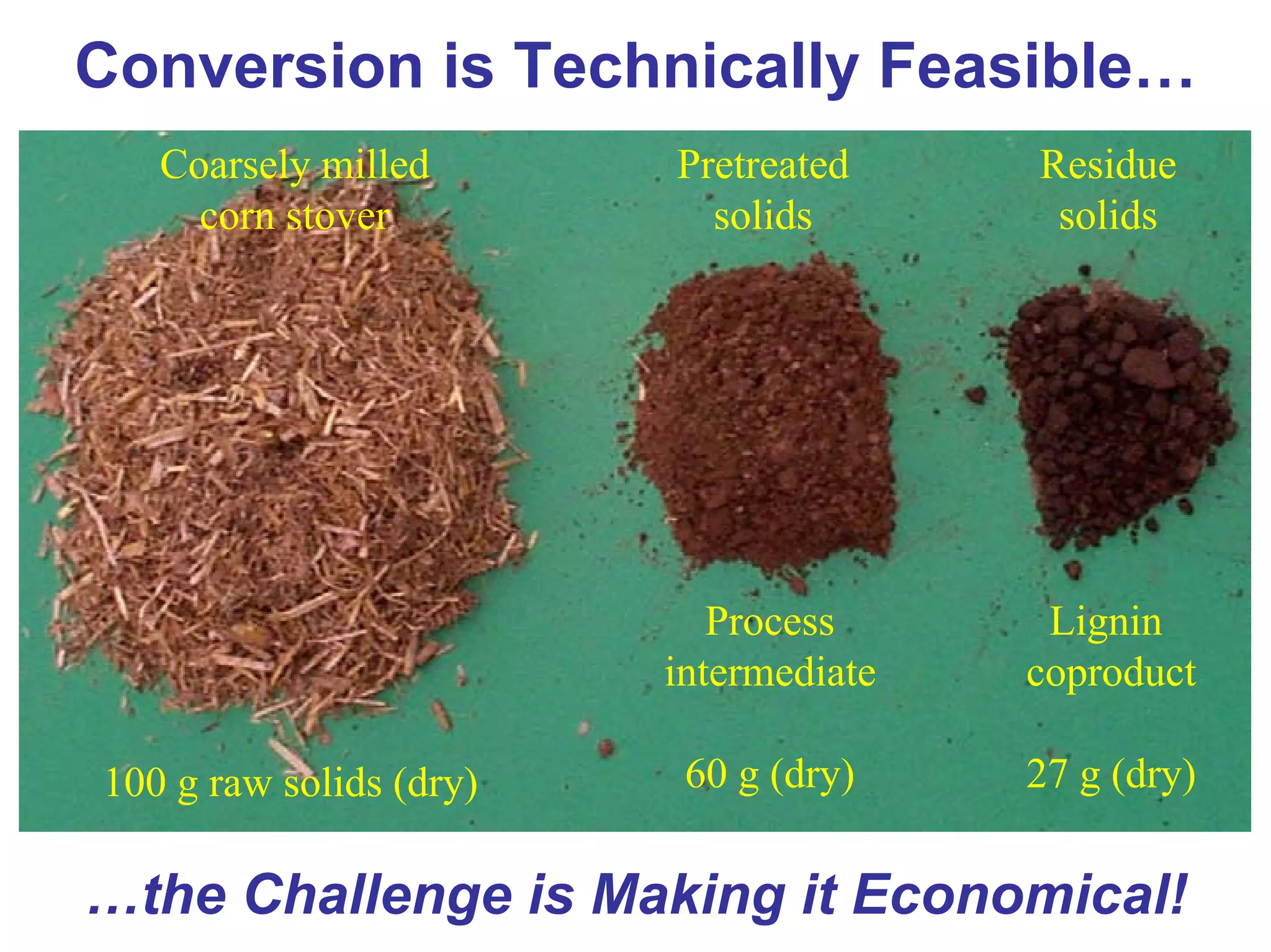 Biotechnological Routes to Biomass Conversion | PDF