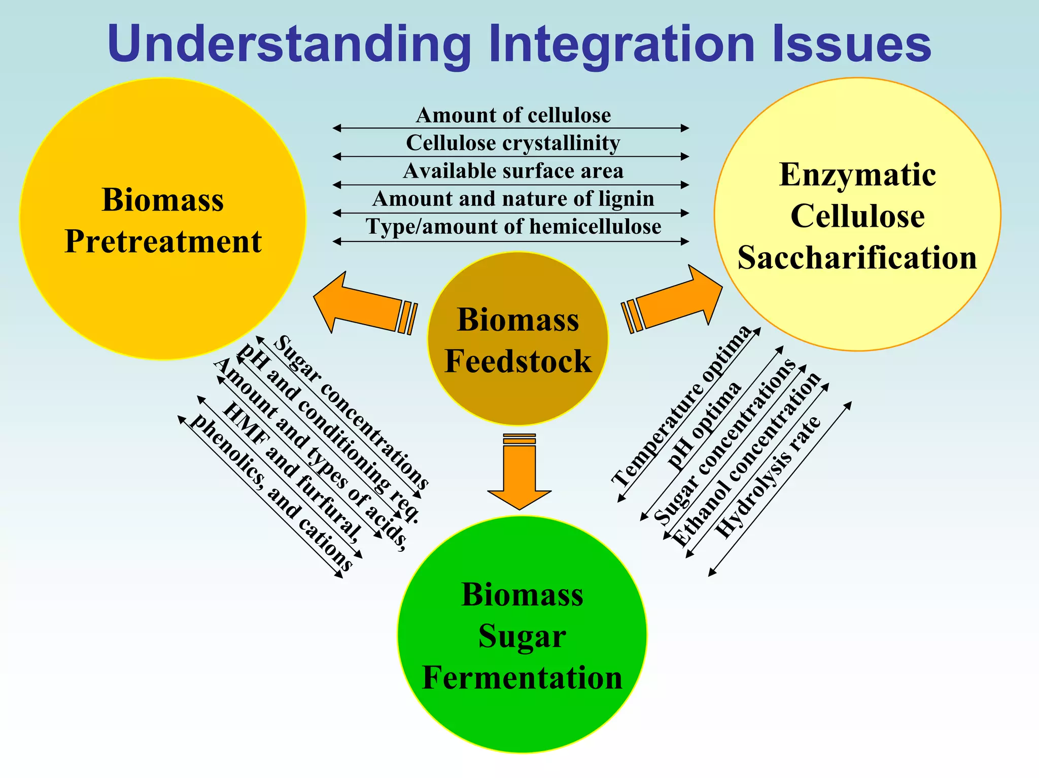 Biotechnological Routes to Biomass Conversion | PDF