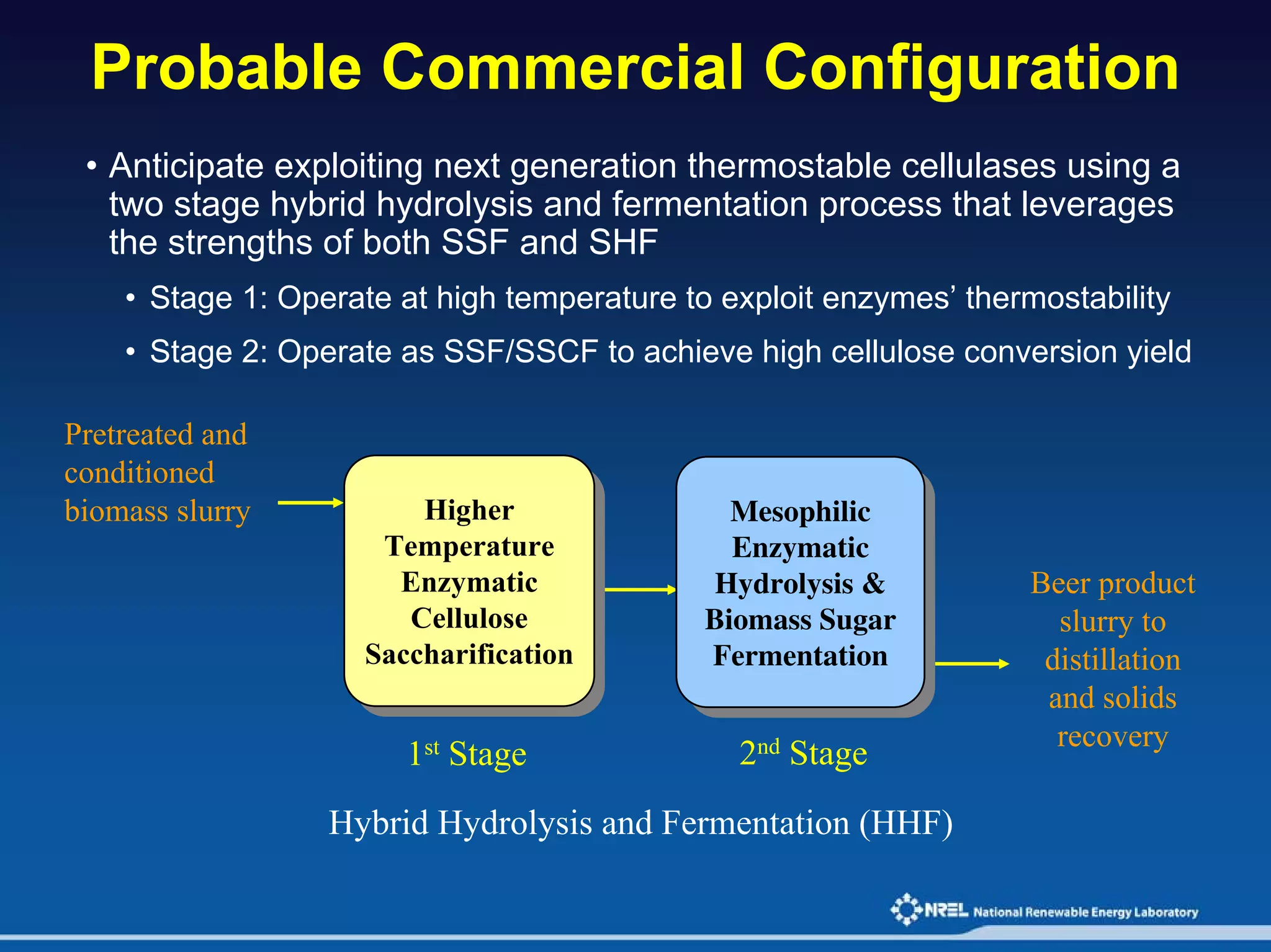 Biotechnological Routes to Biomass Conversion | PDF