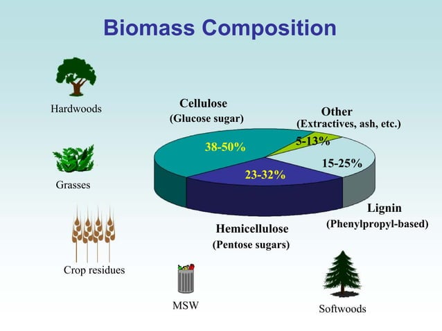 Biotechnological Routes to Biomass Conversion | PPT