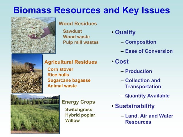 Biotechnological Routes to Biomass Conversion | PPT