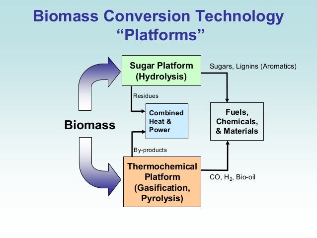 Biotechnological Routes to Biomass Conversion