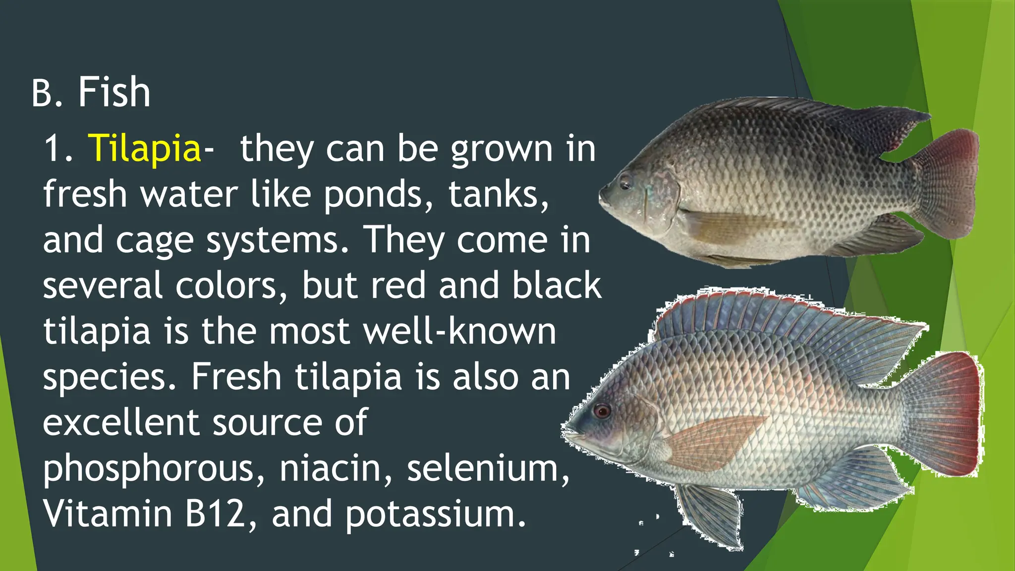 368643153-Animal-and-Fish-Raising-for-Livelihood.pptx