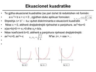 -funksionet-kuadratik-eksponencial-dhe-logaritmik-pdf | PDF