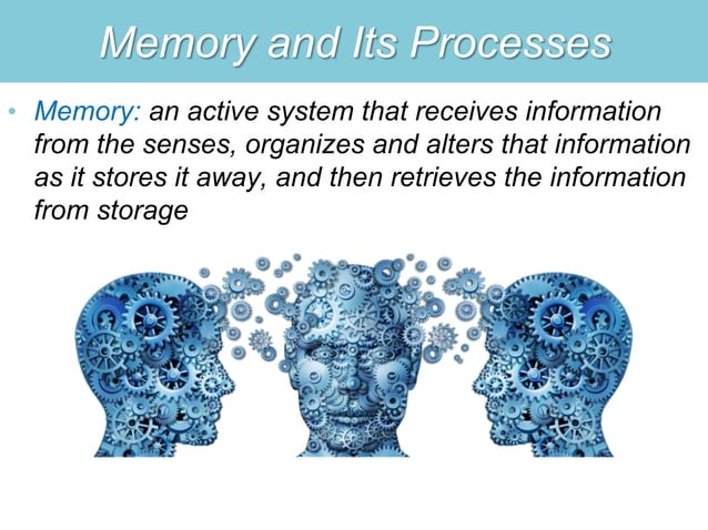 Cognitive Psychology Memory - Short Term | PPT