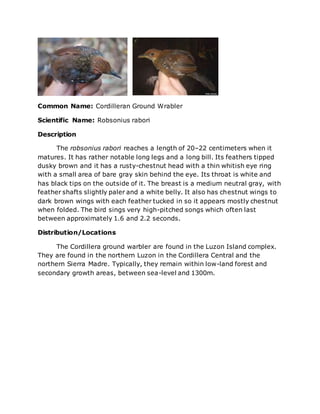 PHILIPPINE FAUNA | DOCX | Geography | Science