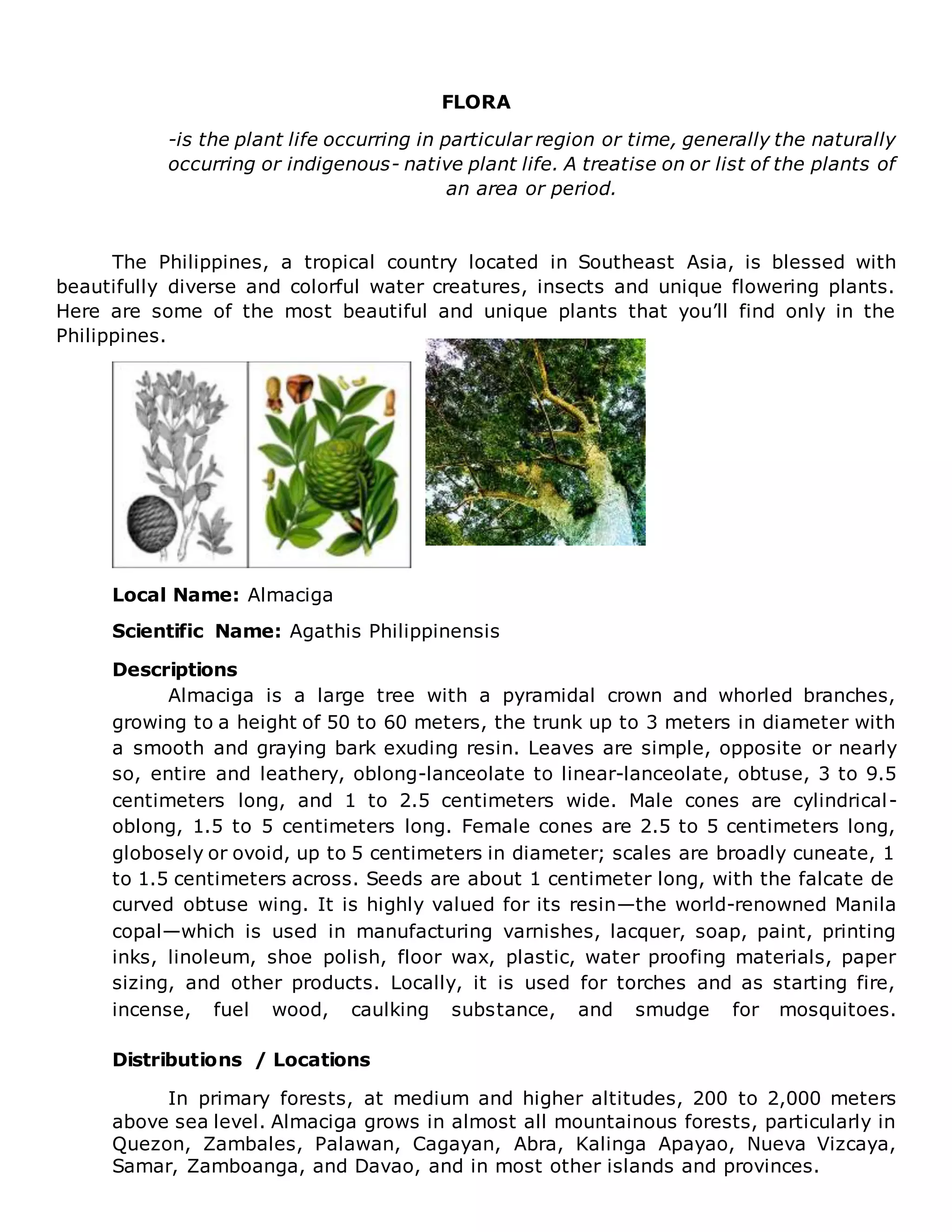 PHILIPPINE FLORA | DOCX