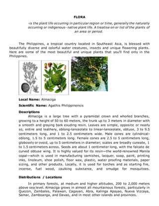 PHILIPPINE FLORA | PDF
