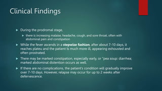 369683513-Typhoid-Feverbh the besth.pptx