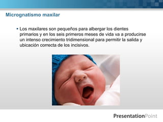 Desarrollo-de-La-Oclusión en odontopediatria | PDF