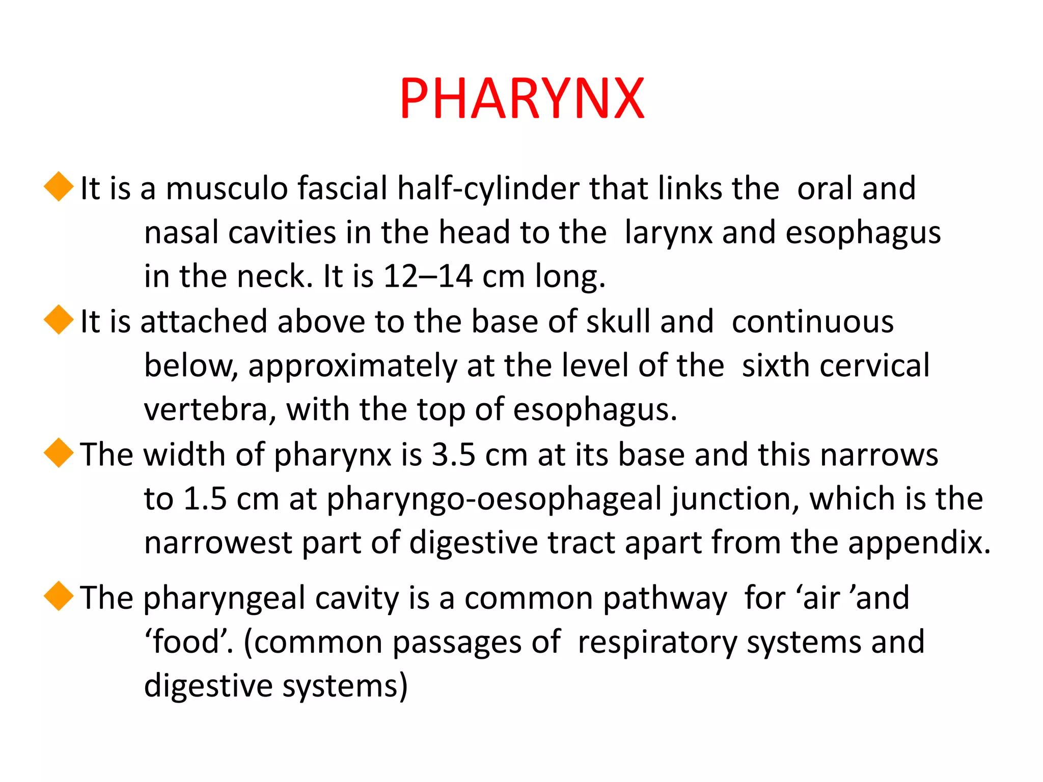Anatomy of Pharynx | PPTX