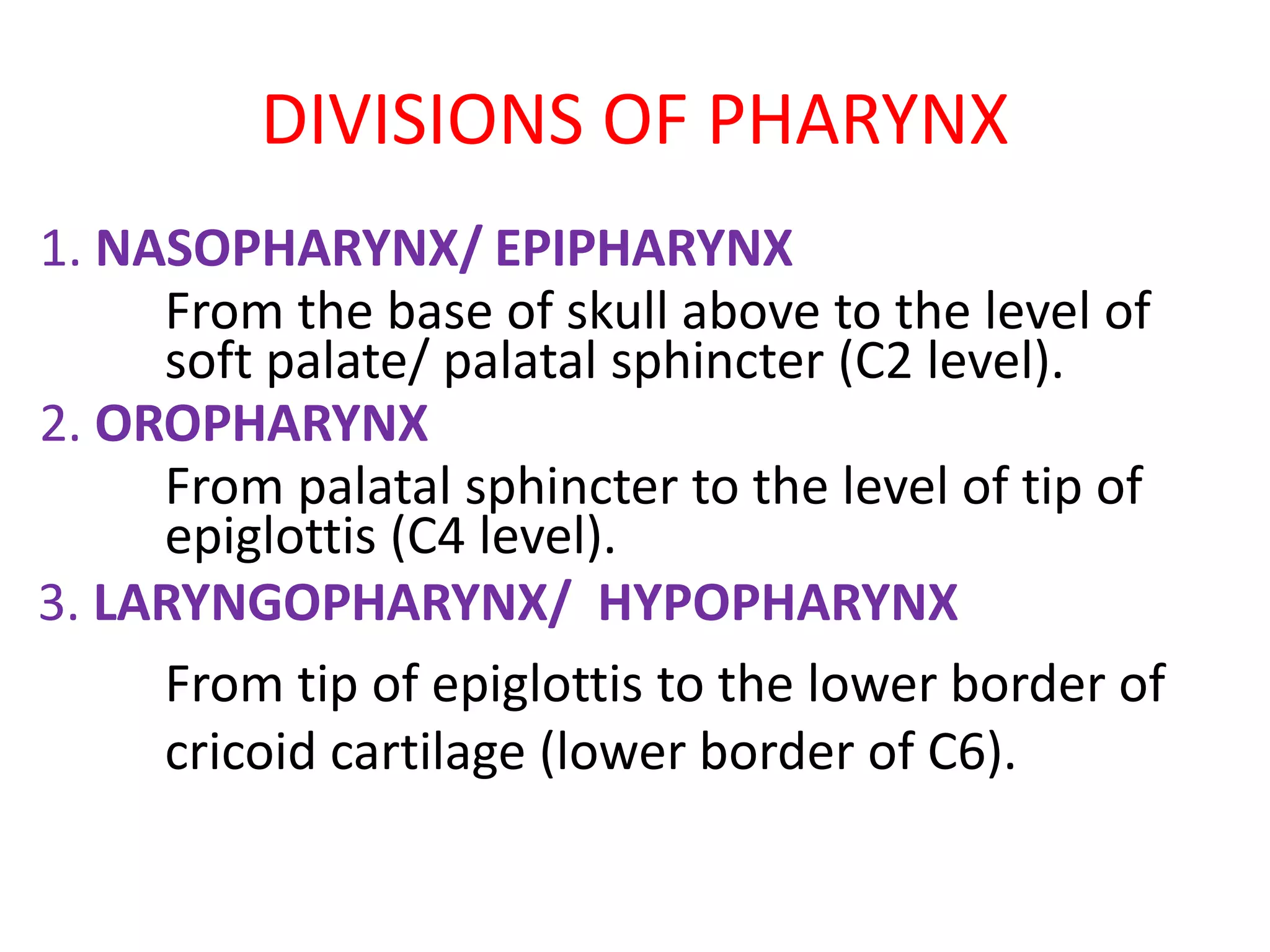 Anatomy of Pharynx | PPTX