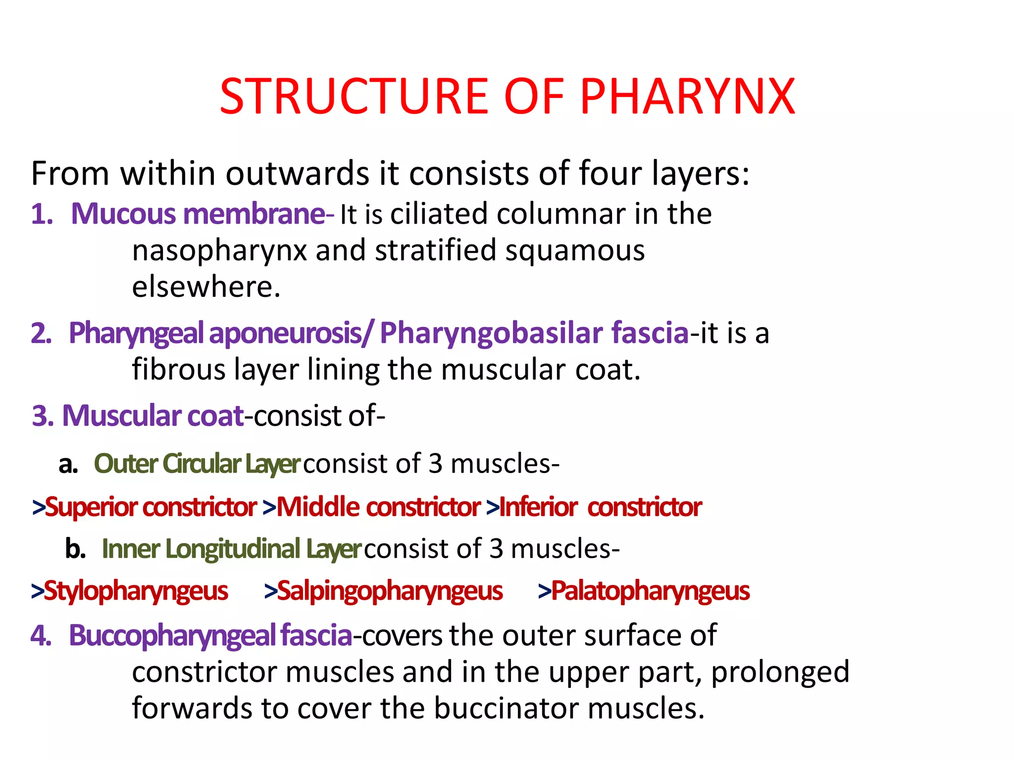 Anatomy of Pharynx | PPTX